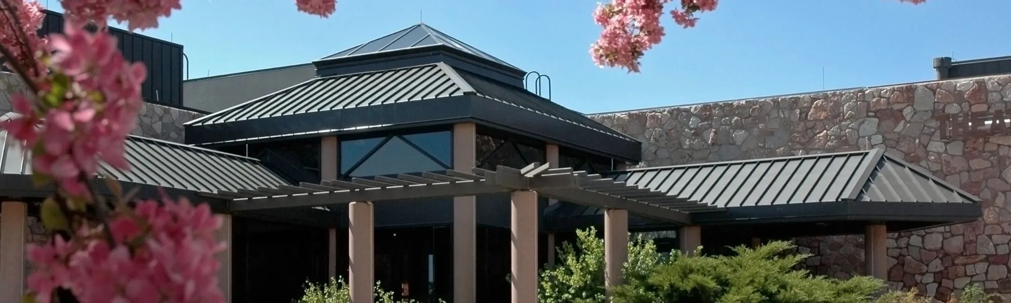 Home | UCCS College of Nursing & Health Sciences